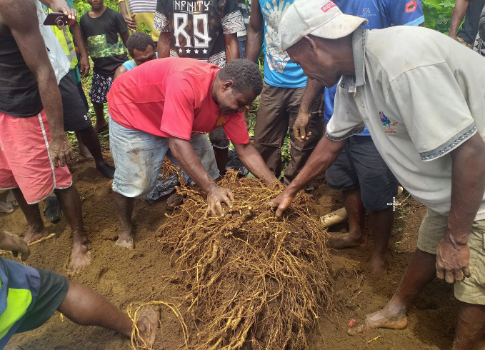 Training aims to boost capacity & economic activities for Guadalcanal ...