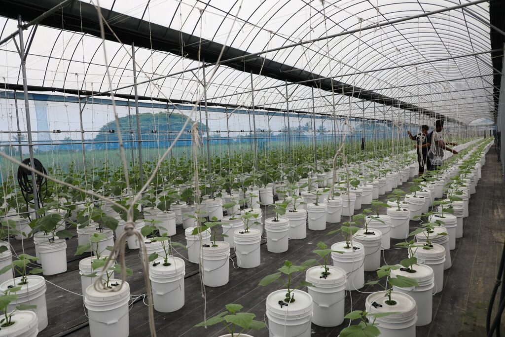 MRD MISSION TEAM VISITS GRACE ROAD FARM IN FIJI – My SIG Services Portal