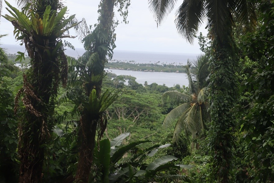 Road infrastructure remain top priority for Small Malaita Constituency ...