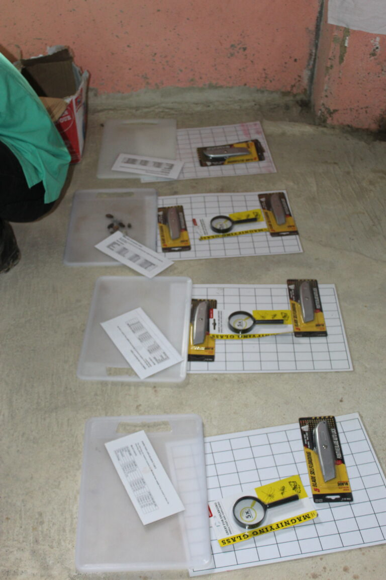 CEMA Strengthens Farmer Capacity Through Nationwide Training Program ...