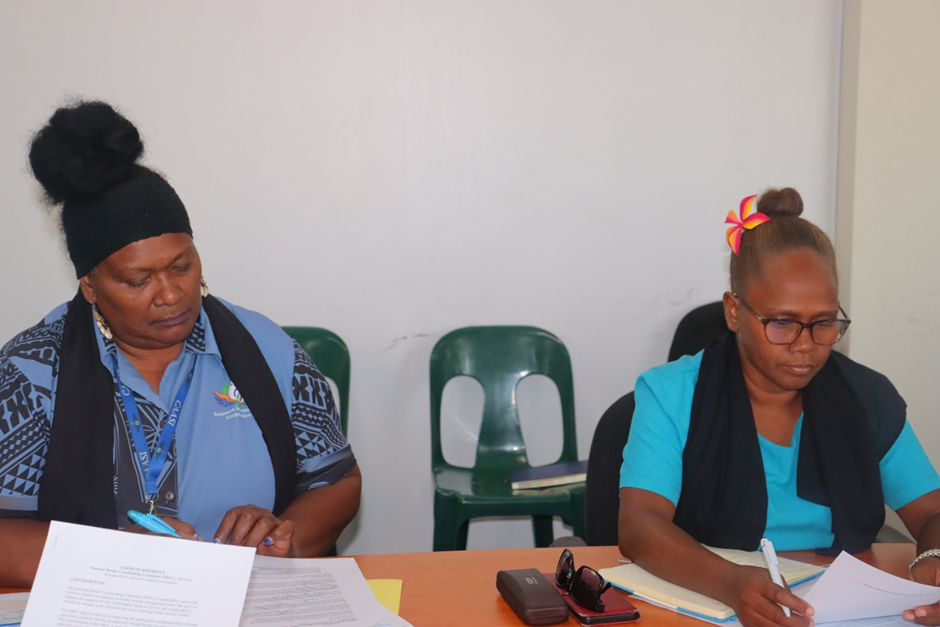 Strengthening of Border Security through the National Border ...