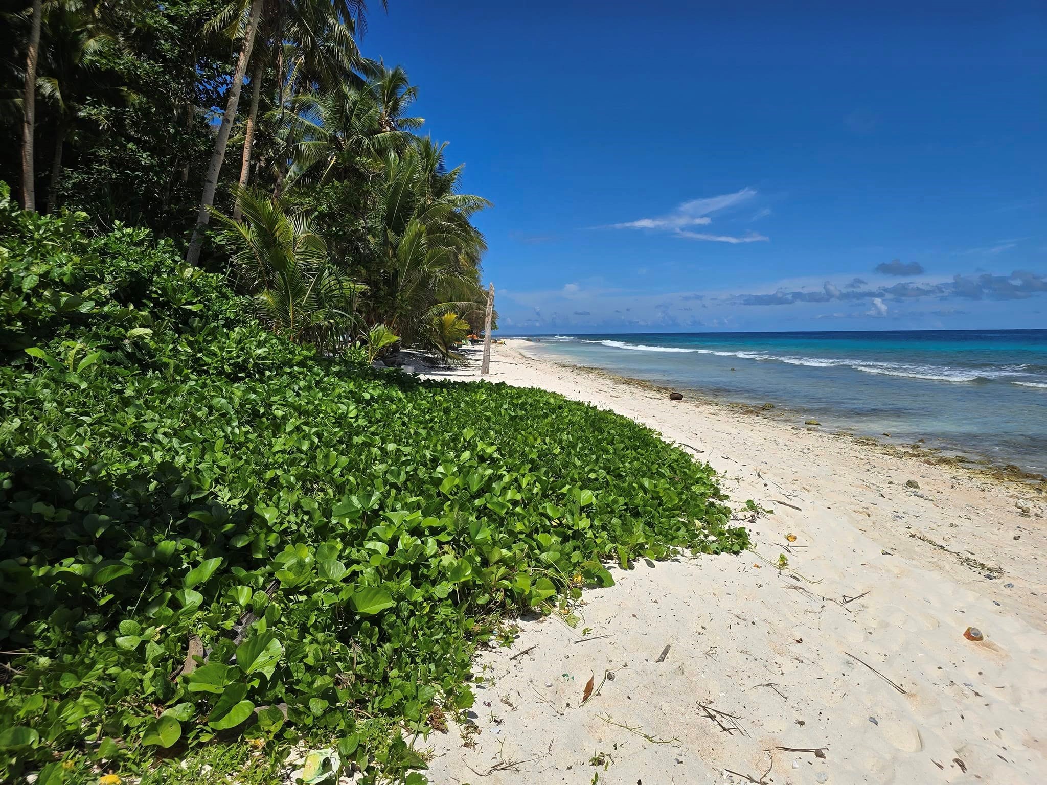 Contractor Sets Up Camp at Bellona to Advance Ahanga Wharf Project – My ...