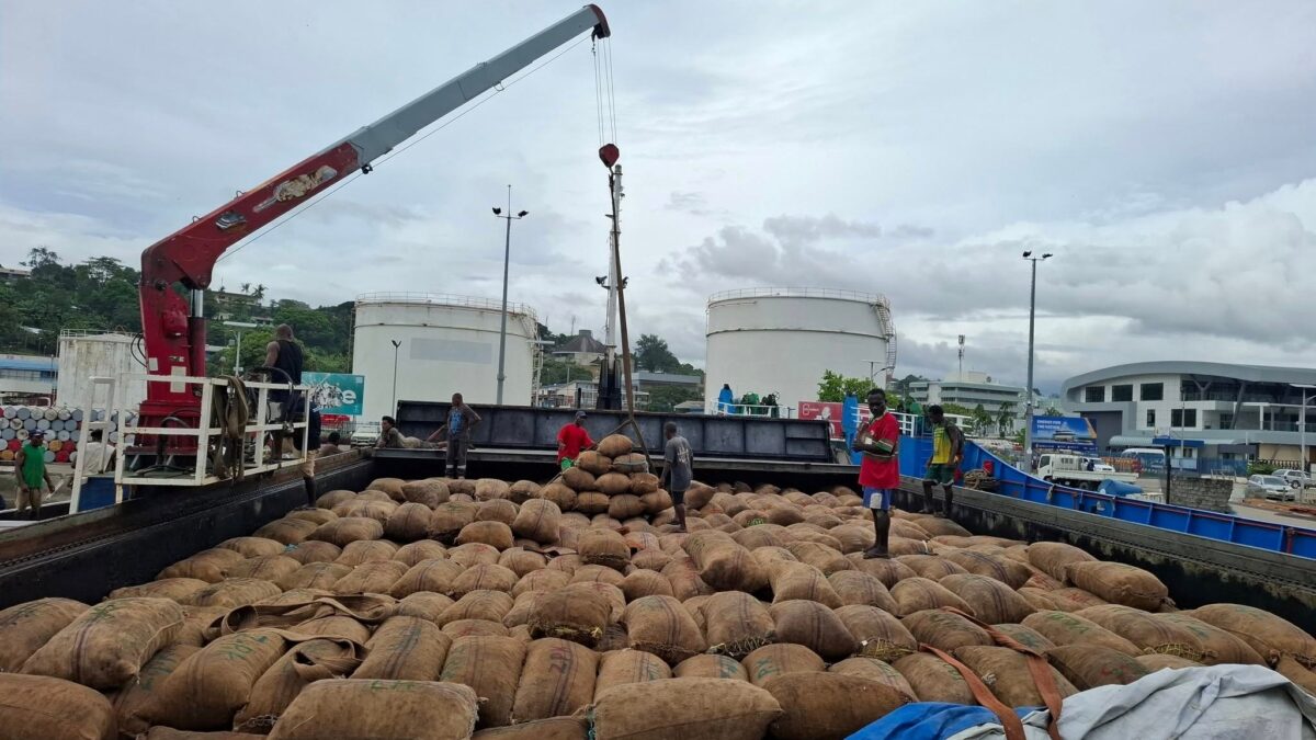 Copra and Cocoa Exports Surge in First Quarter of 2025 – My SIG ...