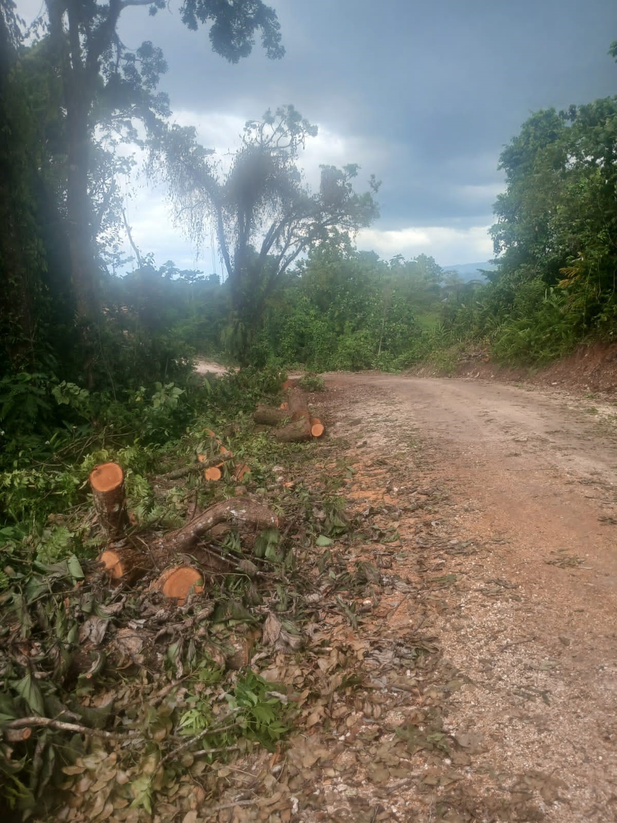 Improving Road Safety and Drainage on Busurata Road – My SIG Services ...