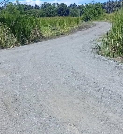 NGC INVESTS $300K IN ROAD INFRASTRUCTURE TO BOOST LIVELIHOODS AND ...