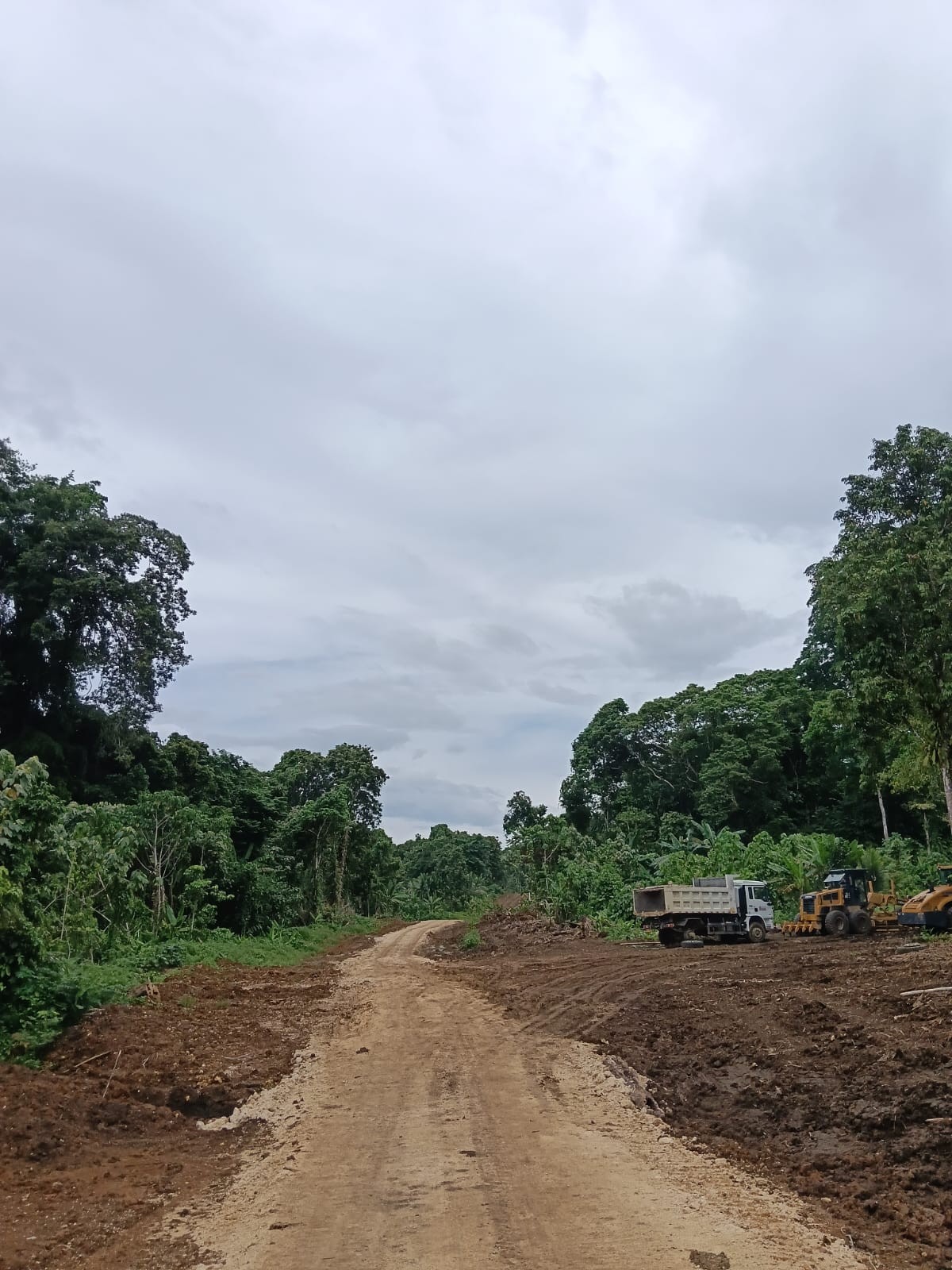 Road Works at Choiseul Bay Township Project in Full Swing – My SIG ...