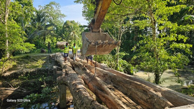 Repair works on wooden bridges underway at Malaita’s South Road – My ...